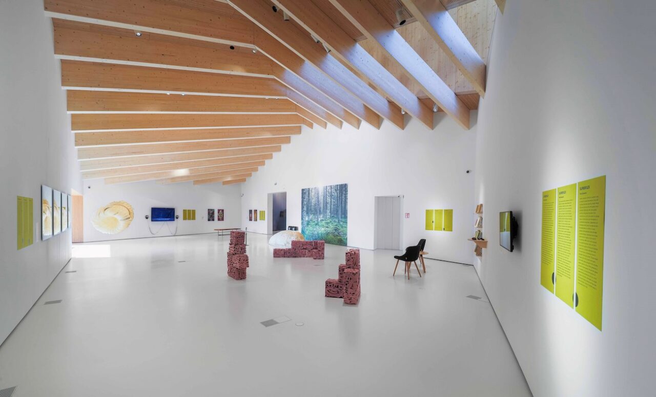 Tammisaareen noussut nykytaiteen museo Chappe lievittää ...