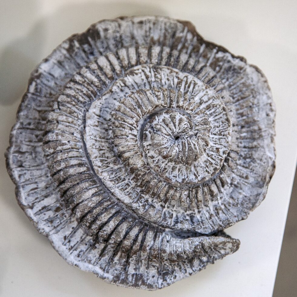 Kymmenet taiteilijat ovat löytäneet hyvät työtilat Nokialta Nanson entisestä tehtaasta ...